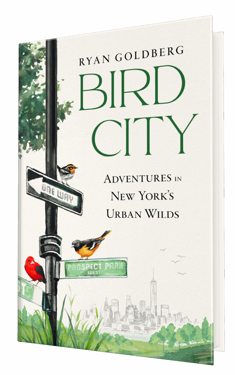 About - Ryan Goldberg