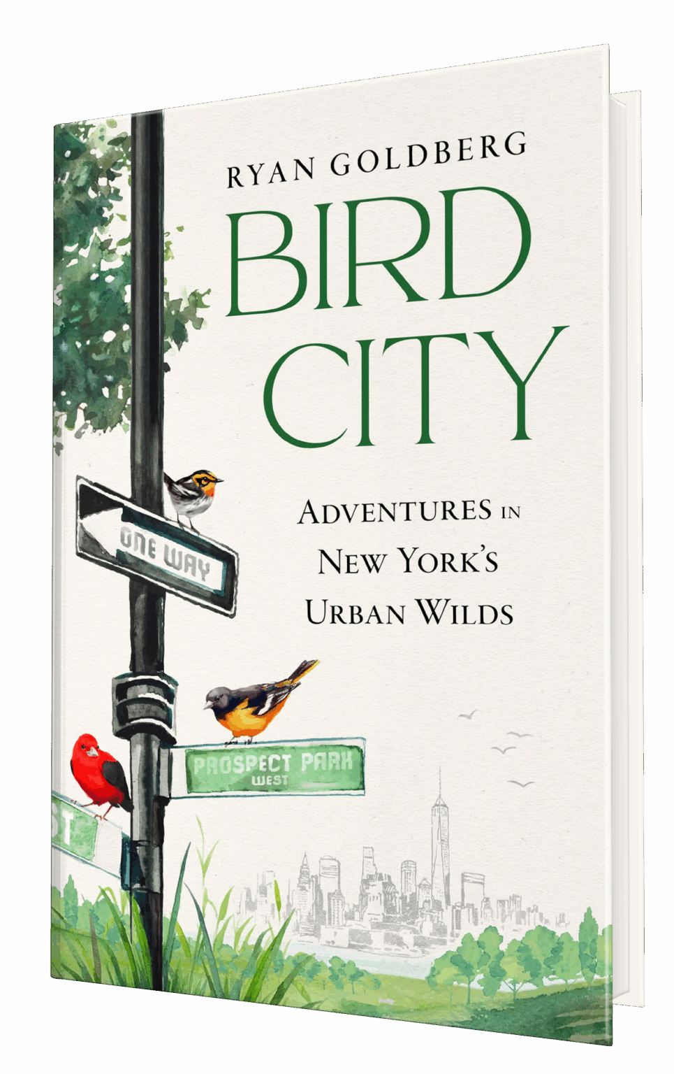 About - Ryan Goldberg